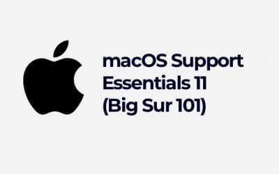 LAI the training institute for IT professionals